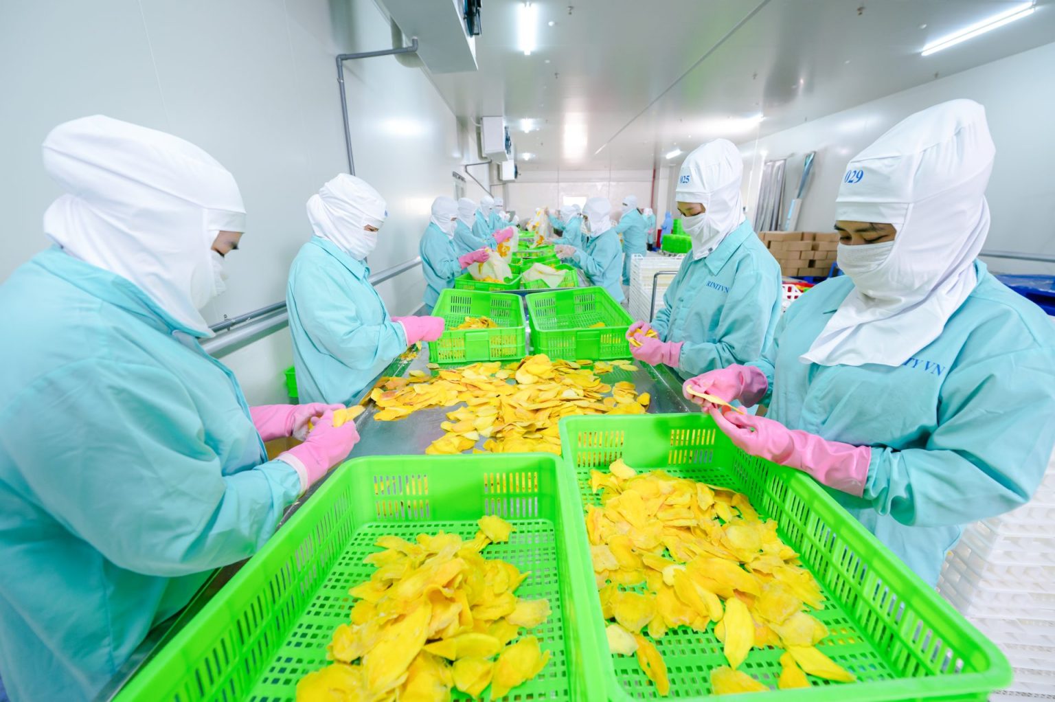 Fruits factory - Trinityvietnam