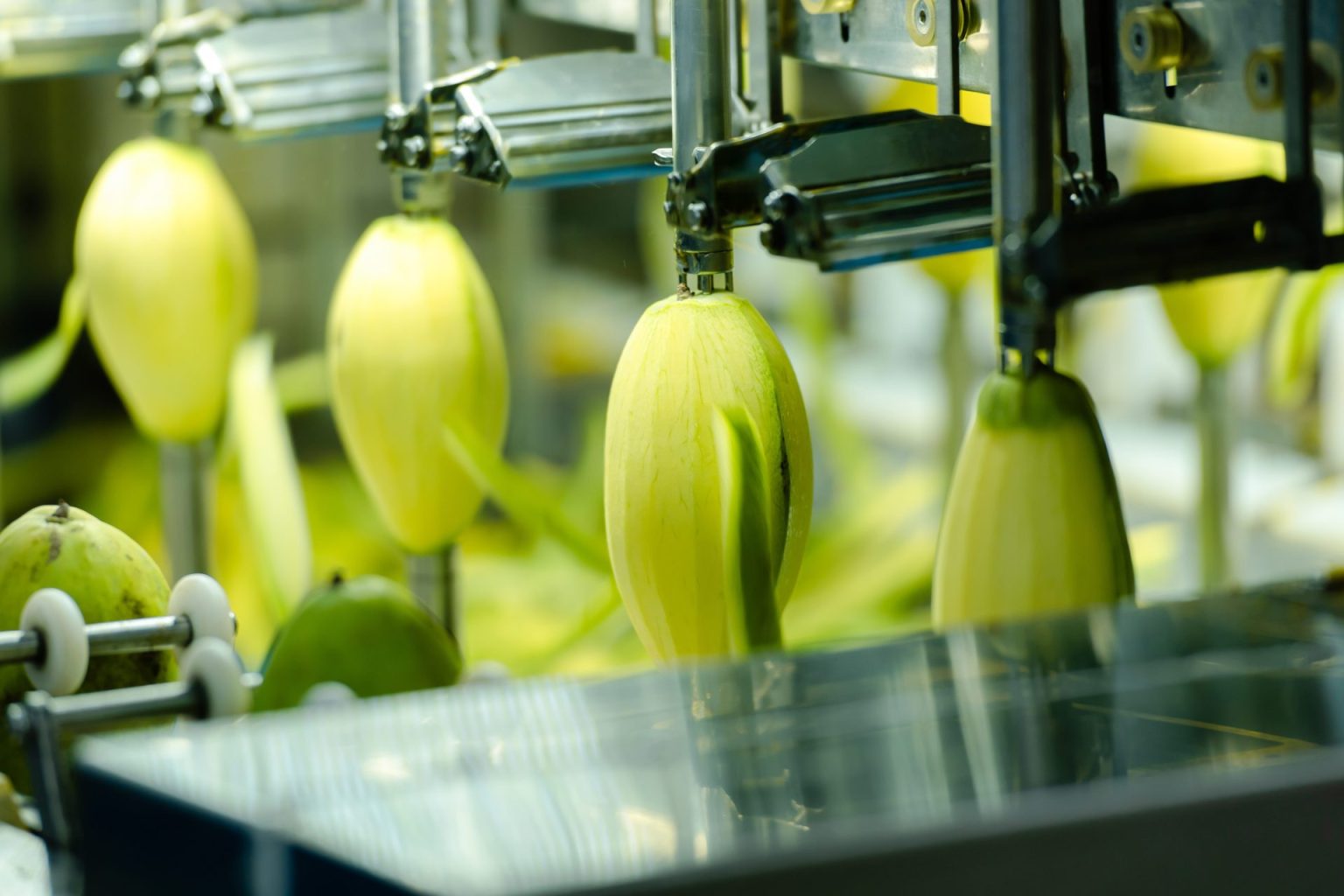 Nhà máy chế biến trái cây - Trinityvietnam