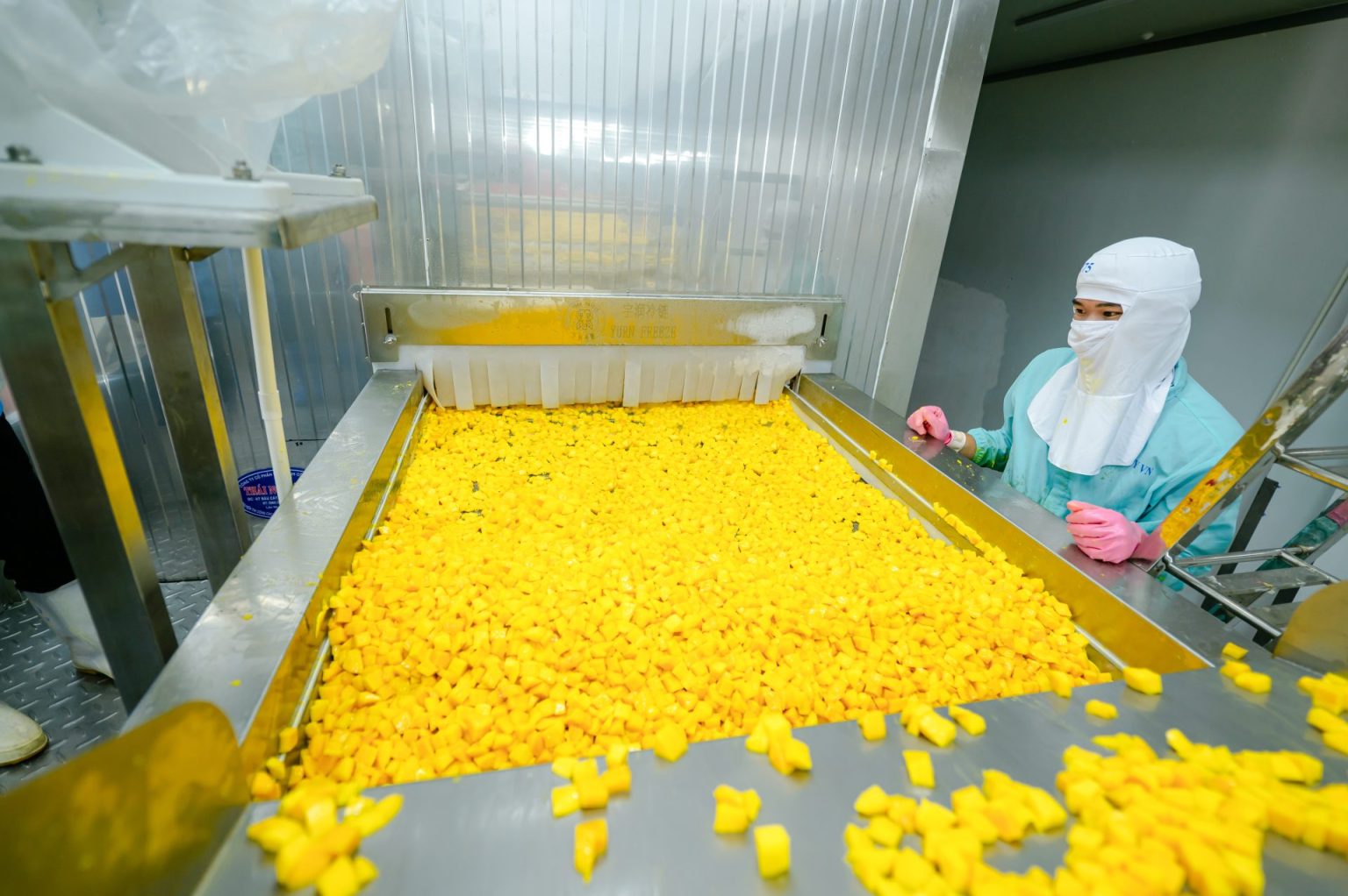 Fruits factory - Trinityvietnam